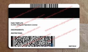 Alabama Drivers License Template V2 - Fake Alabama Drivers License