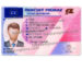 Czech Republic Driver License Template - Fake Template