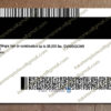 Minnesota Drivers License Template New V2 1200 DPI - Fake Template