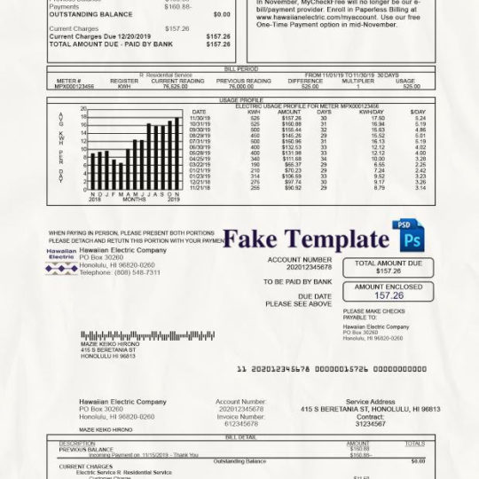 France Utility Bill Psd Template V1 - Fake Template