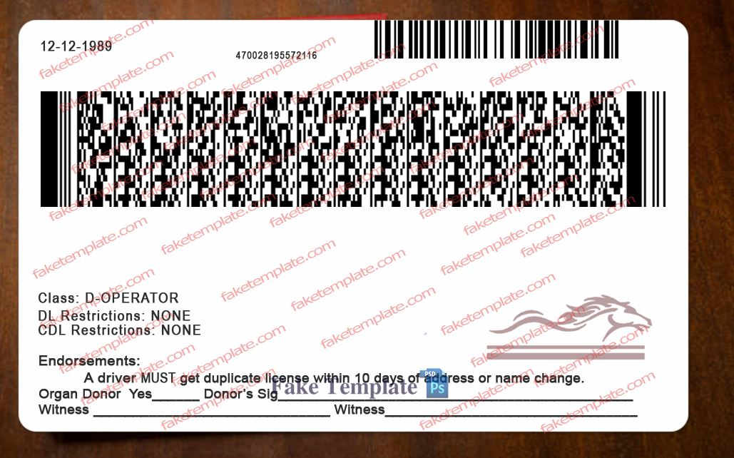 Kentucky drivers license check - lasopakiosk