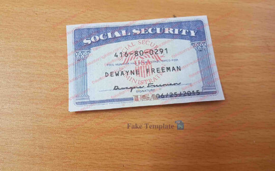 Social Security Number Template Custom Order - High Quality