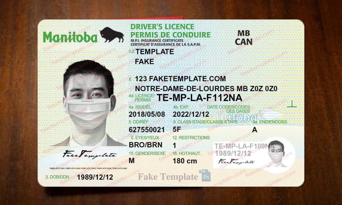 Manitoba Drivers License Template - Fake Template