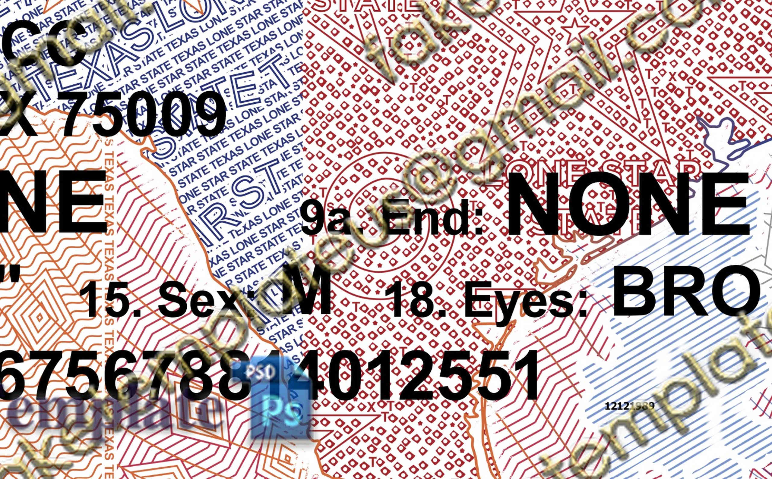 Texas Driving License Template New 1200 DPI V3 - Fake Template