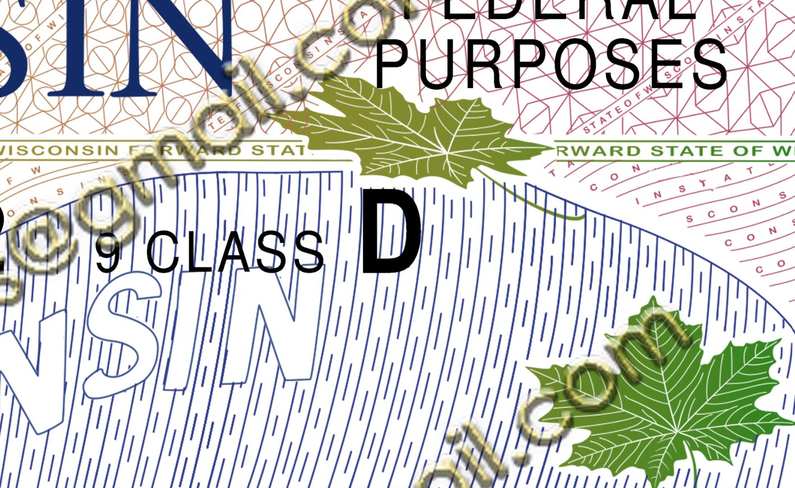 Fake Wisconsin Drivers License New V3 1200 DPI - Fake Template