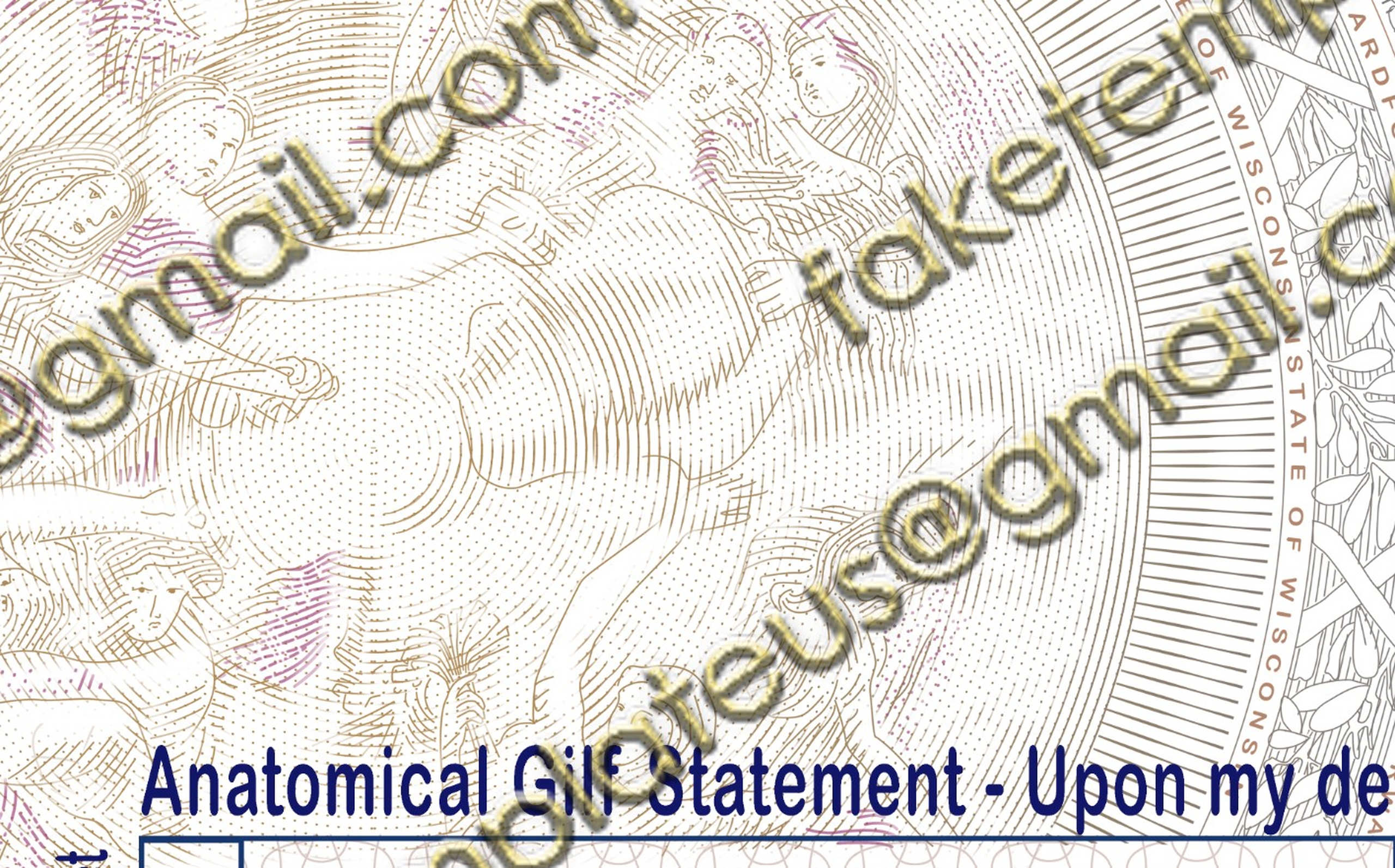 Fake Wisconsin Drivers License New V3 1200 DPI - Fake Template